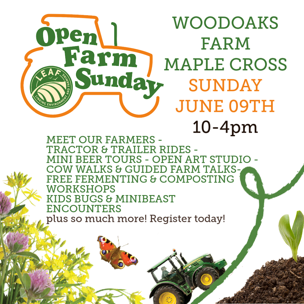 Open Farm Sunday – A family Day on Woodoaks Farm, Maple Cross. – Green ...